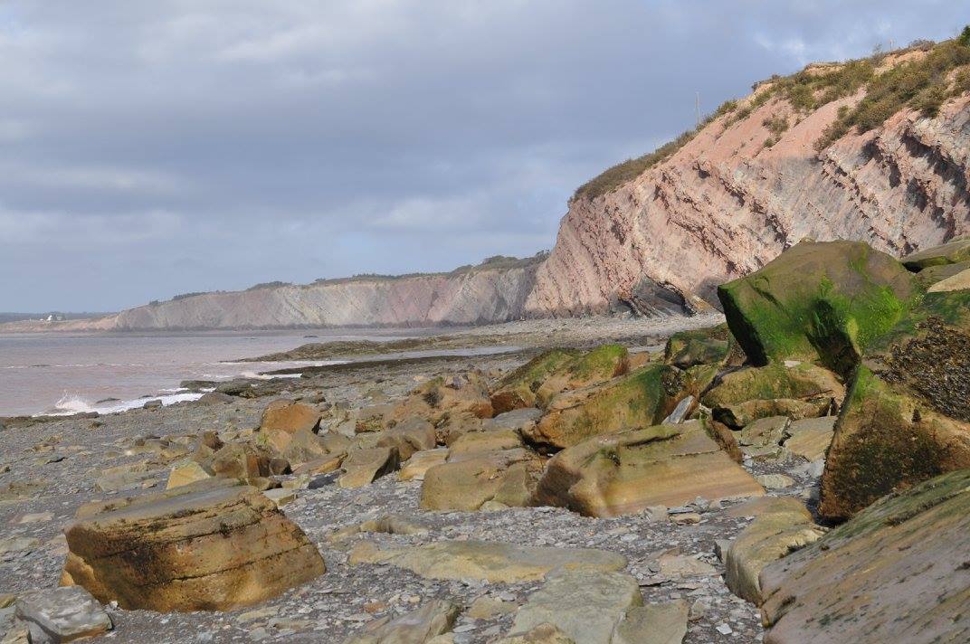Fossil Forest Expedition | Joggins Fossil Cliffs Tour – Fundy Treasures